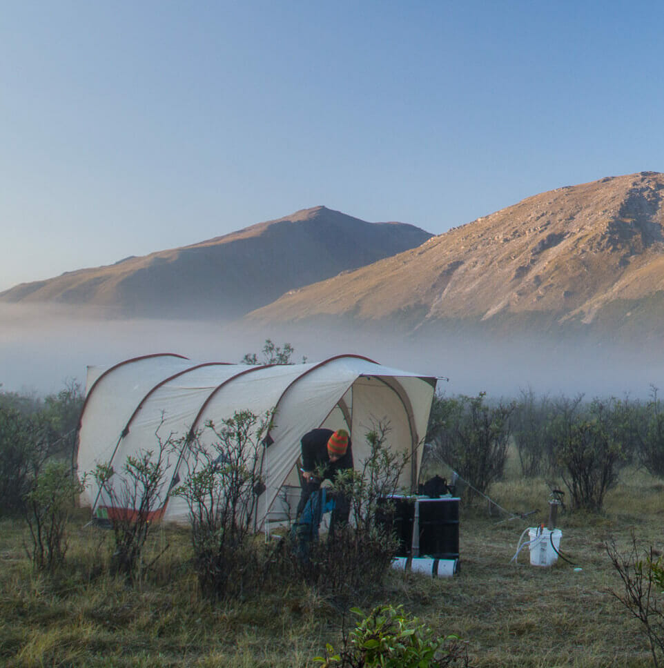 Alaska Camping Adventures & Base Camp Trips | Arctic Wild